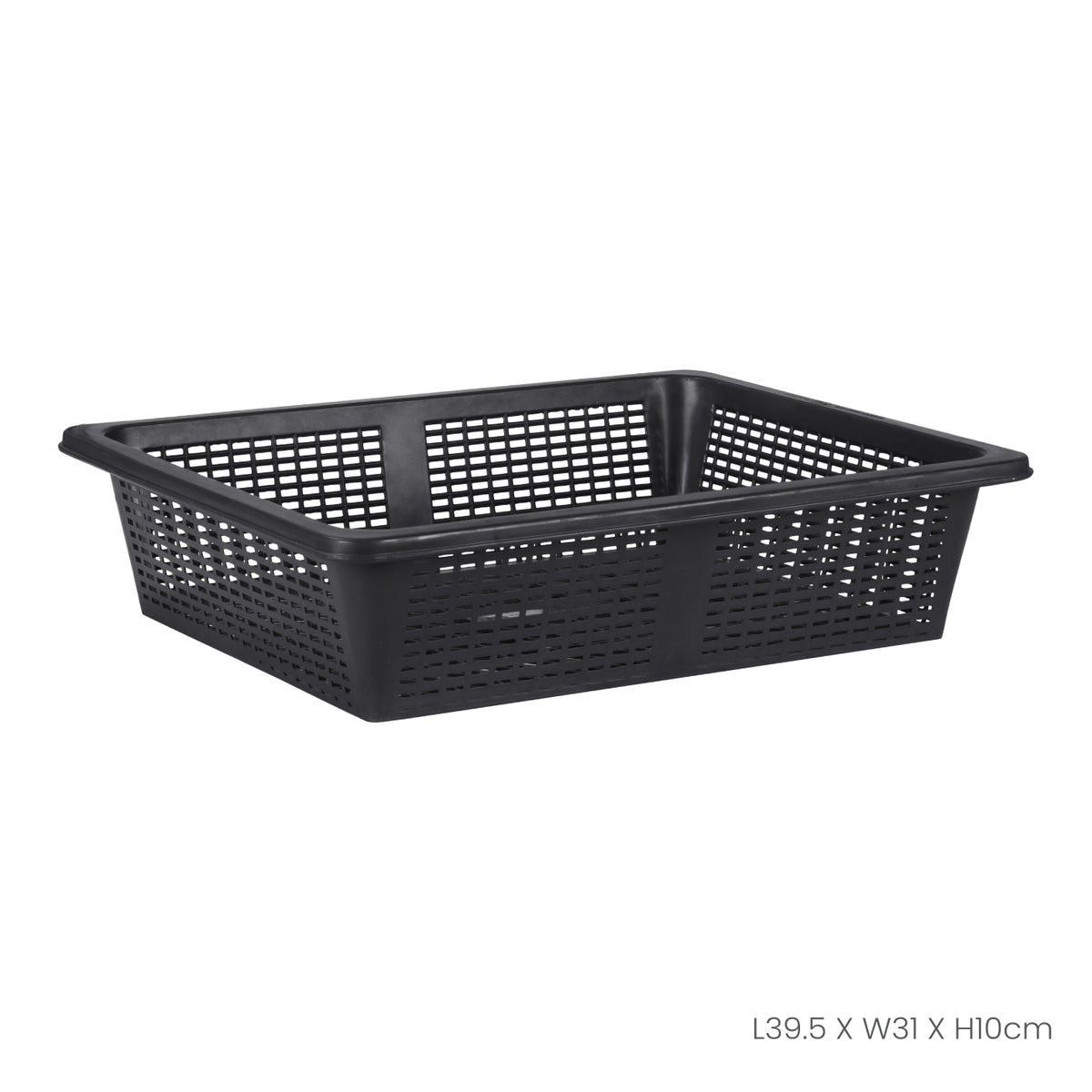 HAMPER TRAY (4828) | TOYOGO Singapore – TOYOGO - CHUAN HENG